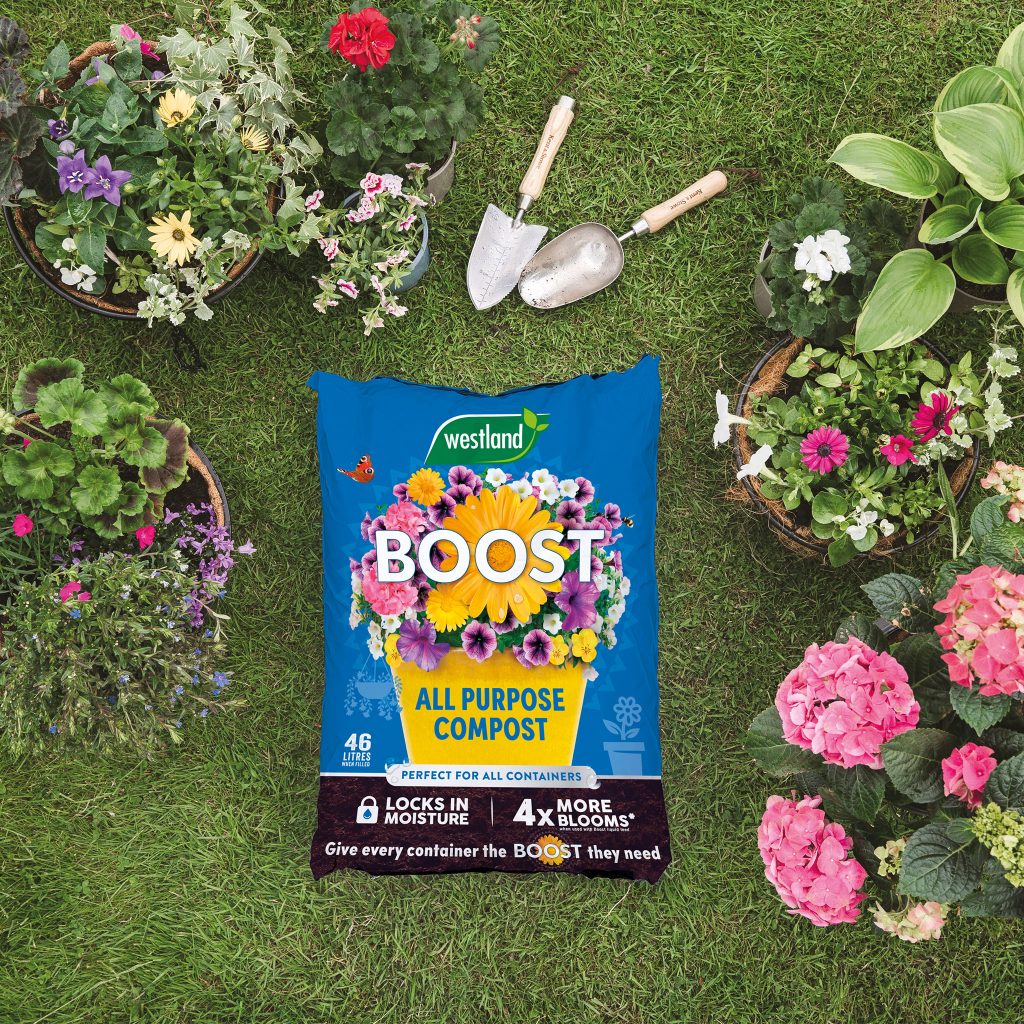 Westland Boost All Purpose Compost - Composts - Westland Garden Health