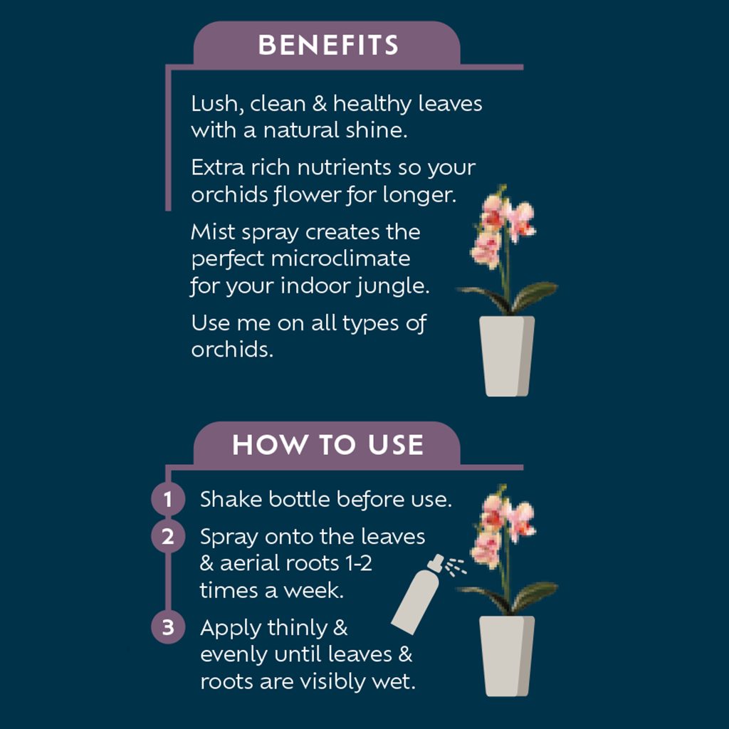 Westland Orchid Mist - Houseplant Care - Westland Garden health