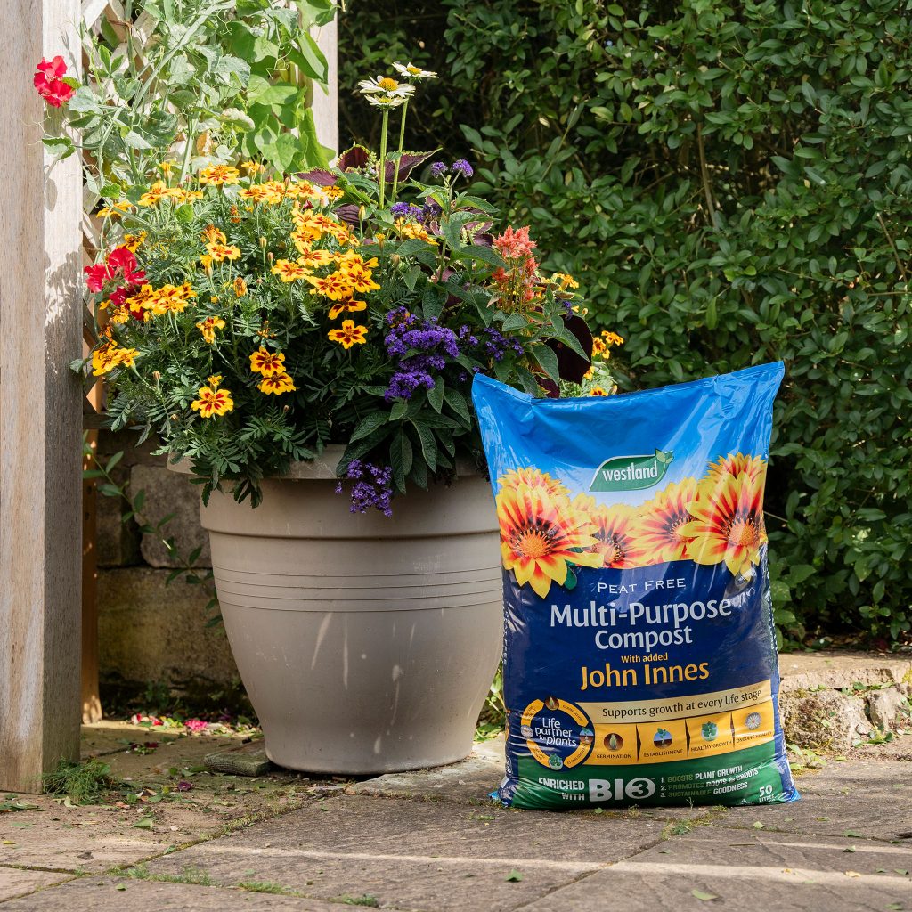 Multi-Purpose Compost with added John Innes | Garden Health