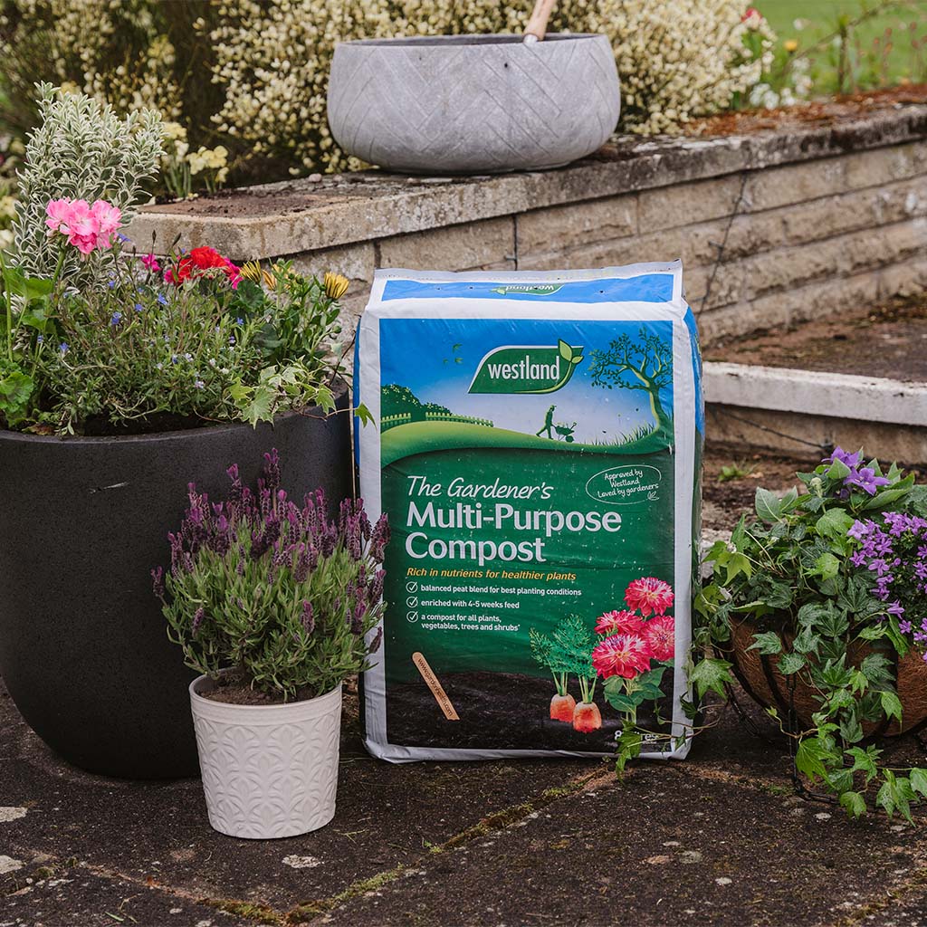 The Gardener's Multi-Purpose Compost | Westland Garden Health