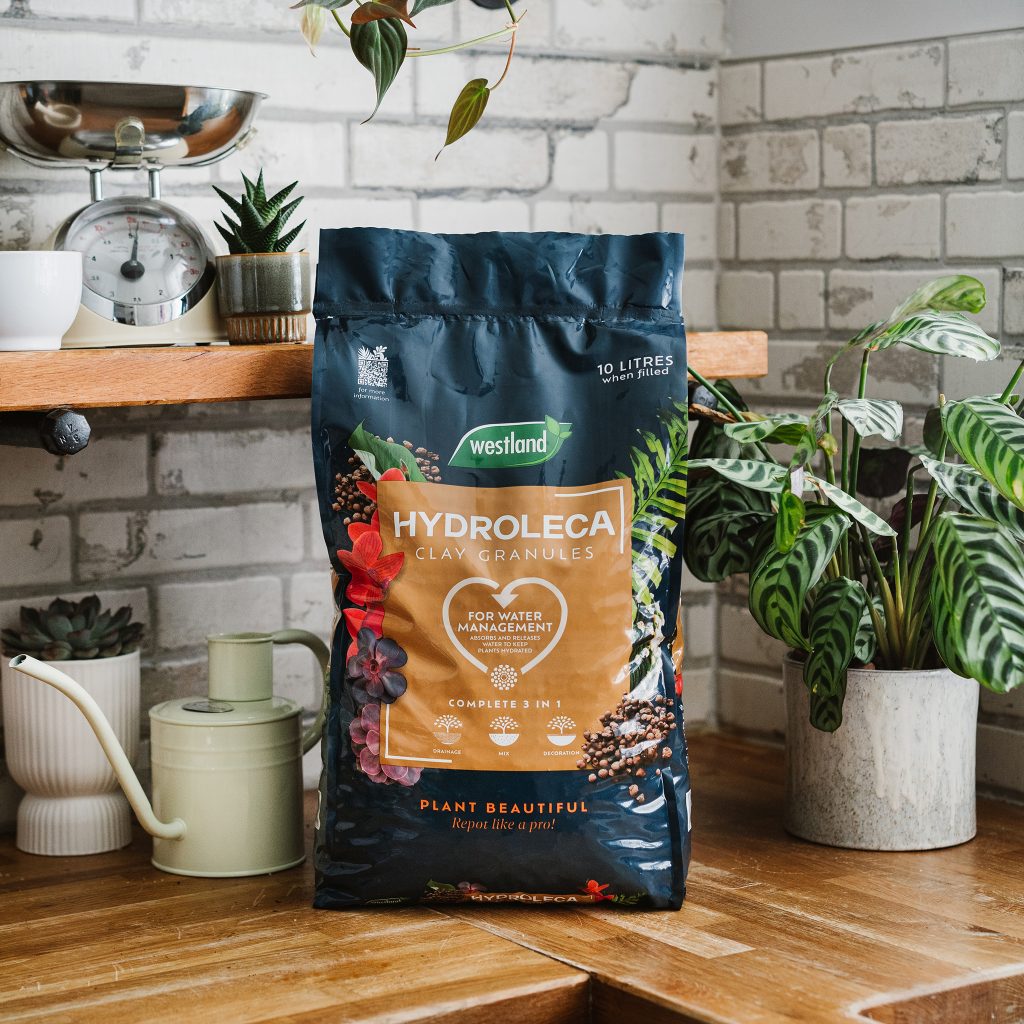 Westland Hydroleca Clay Granules - Houseplant Care - Garden health
