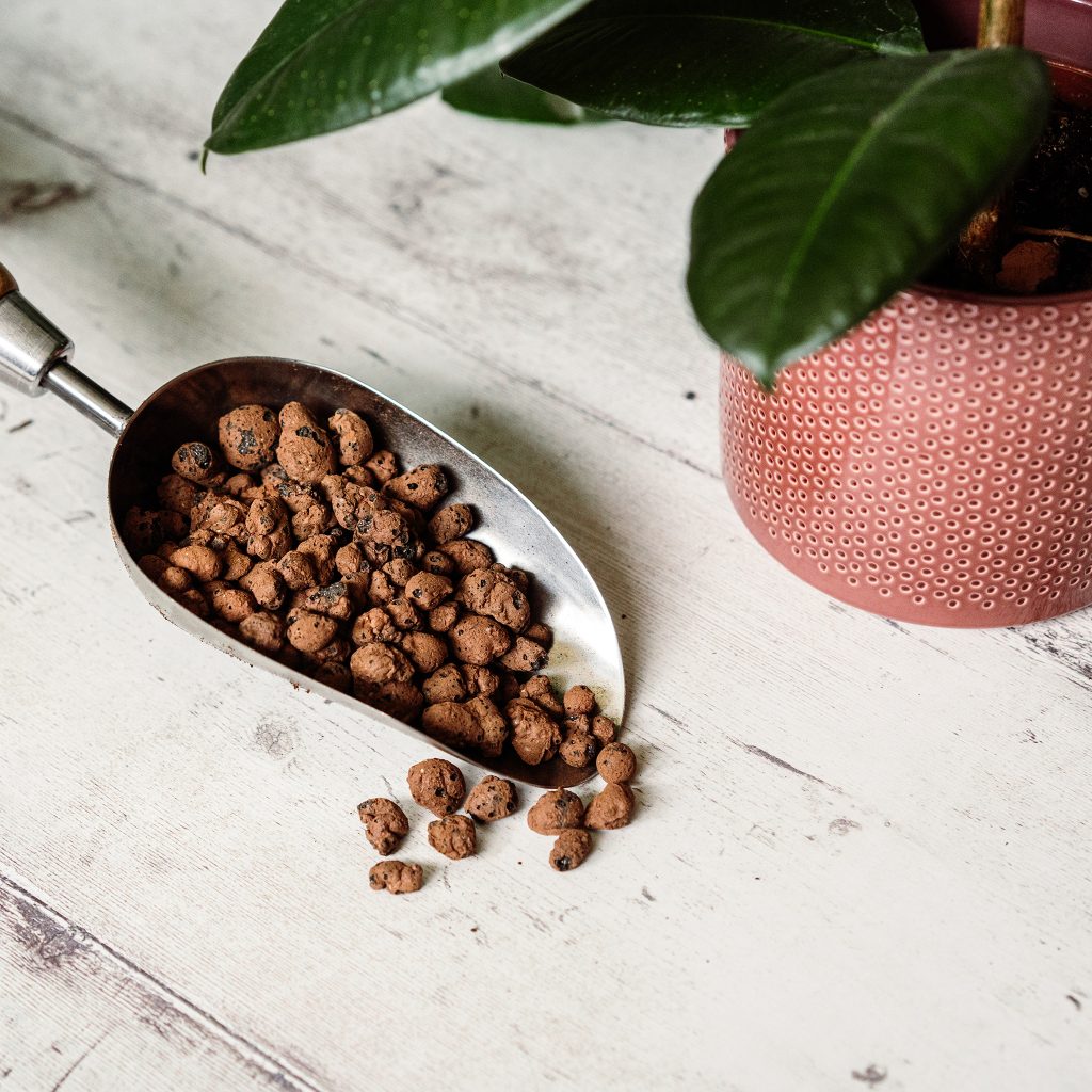 Westland Hydroleca Clay Granules - Houseplant Care - Garden health