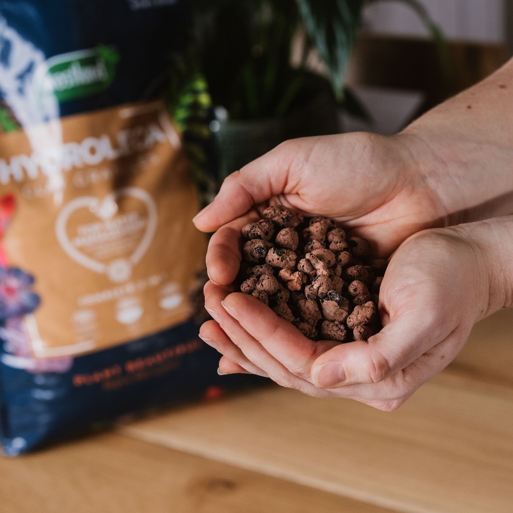 Westland Hydroleca Clay Granules - Houseplant Care - Garden health