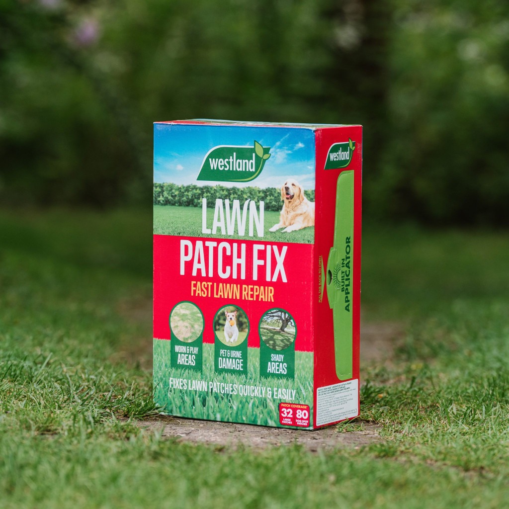Aftercut Patch Fix - Lawn Care - Westland Garden Health