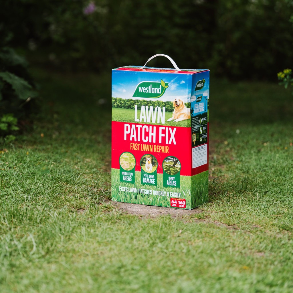 Aftercut Patch Fix - Lawn Care - Westland Garden Health