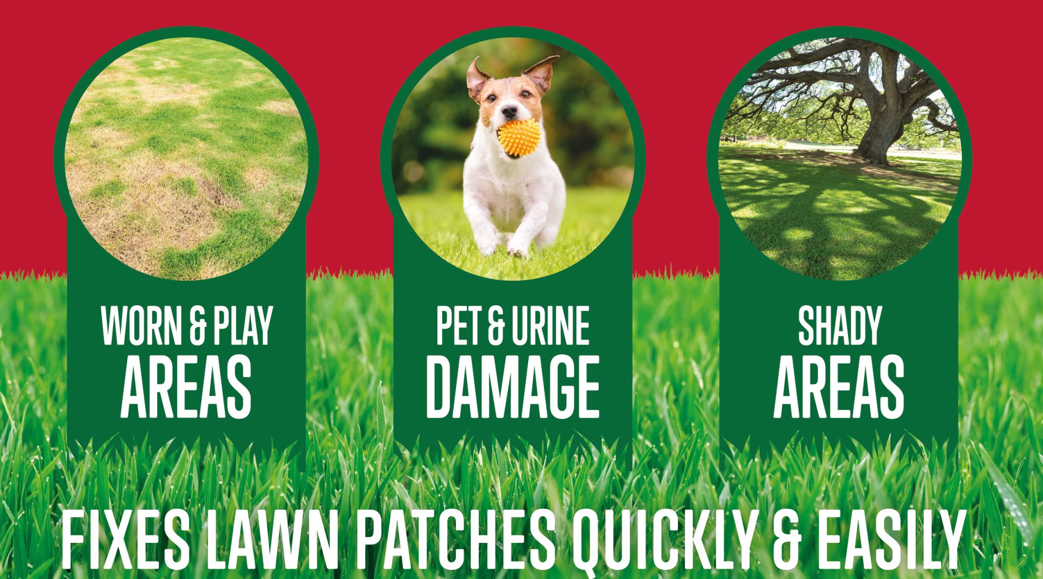 Aftercut Patch Fix - Lawn Care - Westland Garden Health