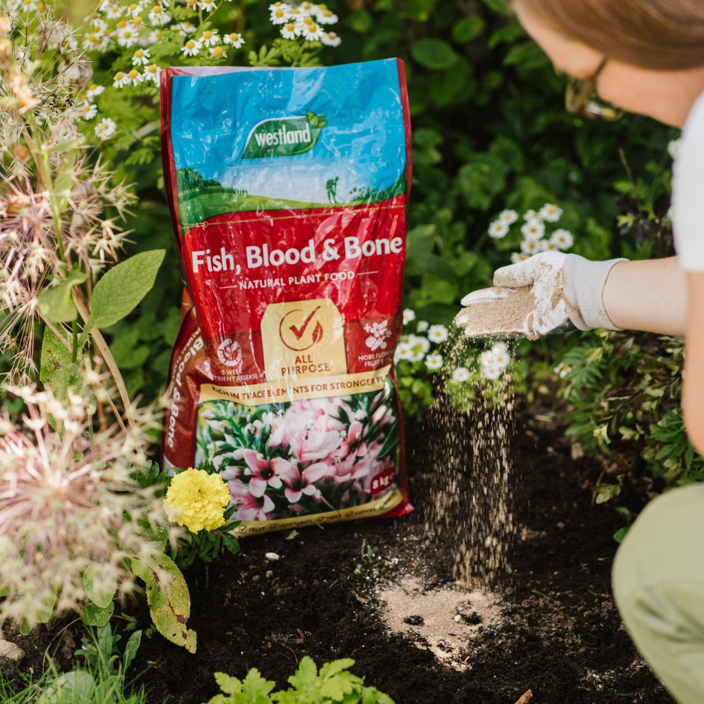 Westland Fish, Blood and Bone | Plant Food | Garden Health