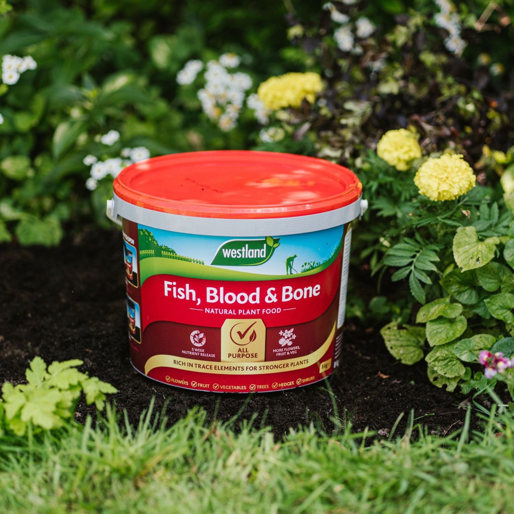 Westland Fish, Blood and Bone | Plant Food | Garden Health