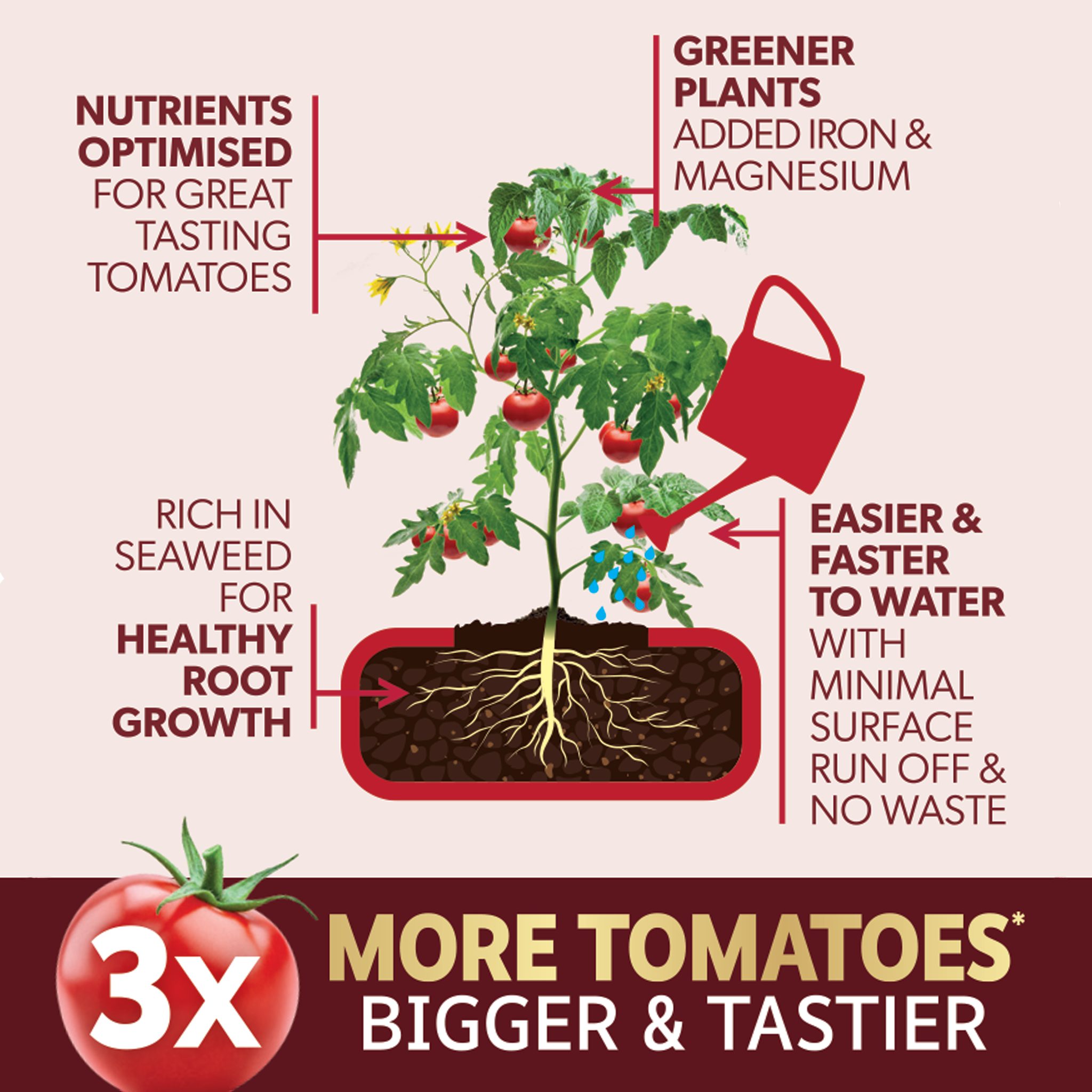 Westland Big Tom Super Tomato Food - Plant Food - Garden Health