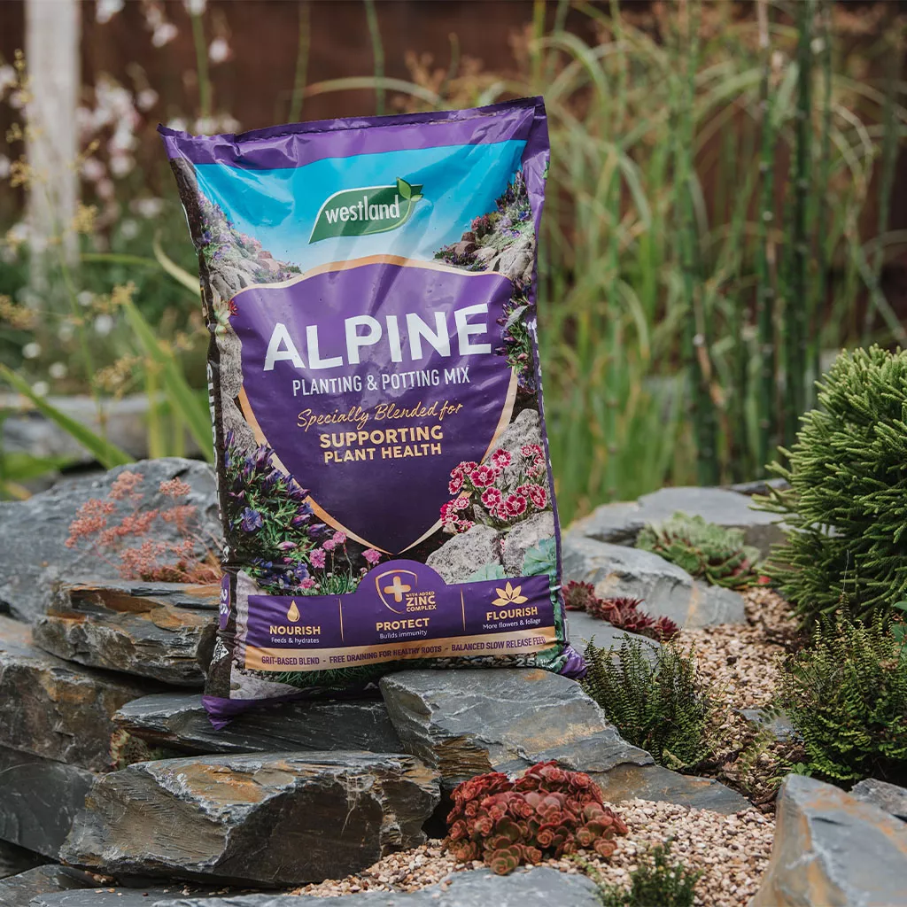 How To Create Your Own Alpine Garden/Rockery - Garden Health