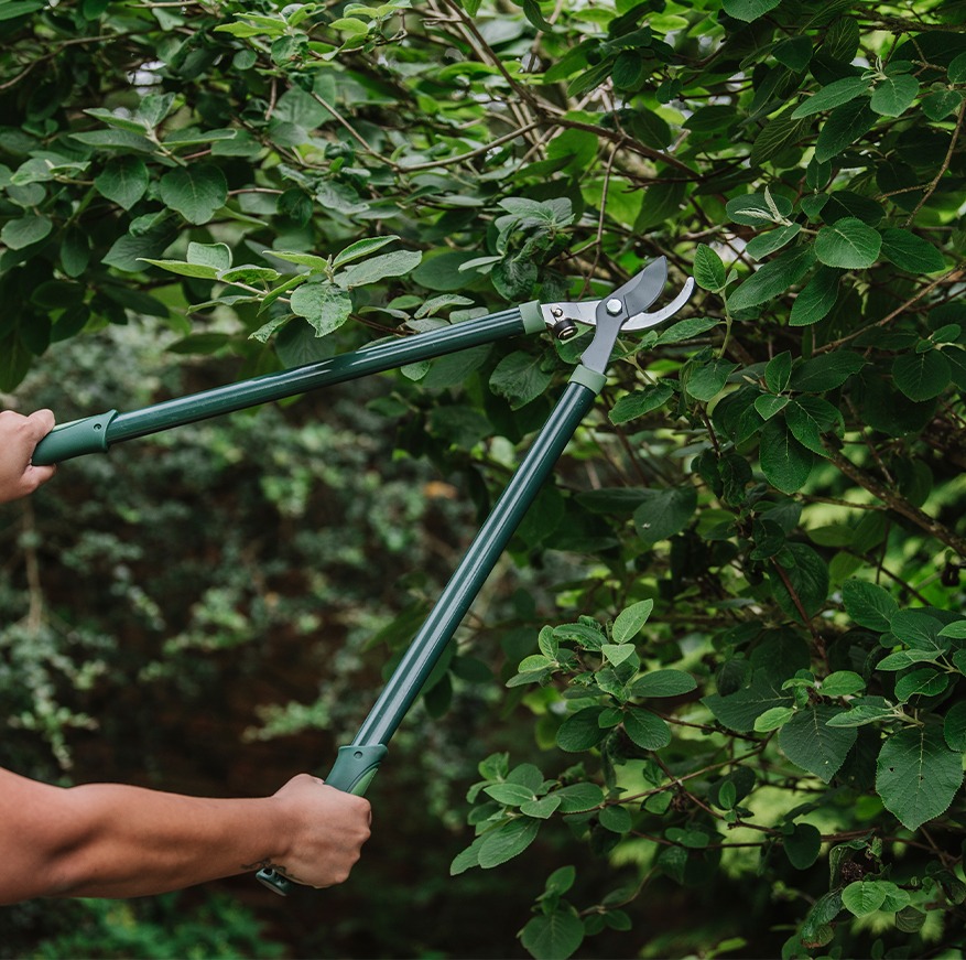 Gardener’s Mate Bypass Loppers - Garden Tools Westland Garden Health