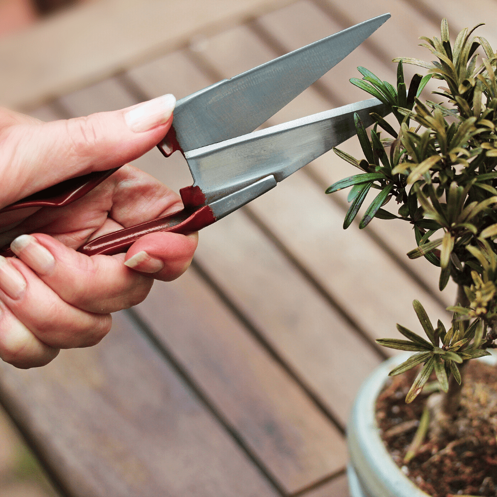 Mini Snips - Kent & Stowe Garden Tools - Garden Health
