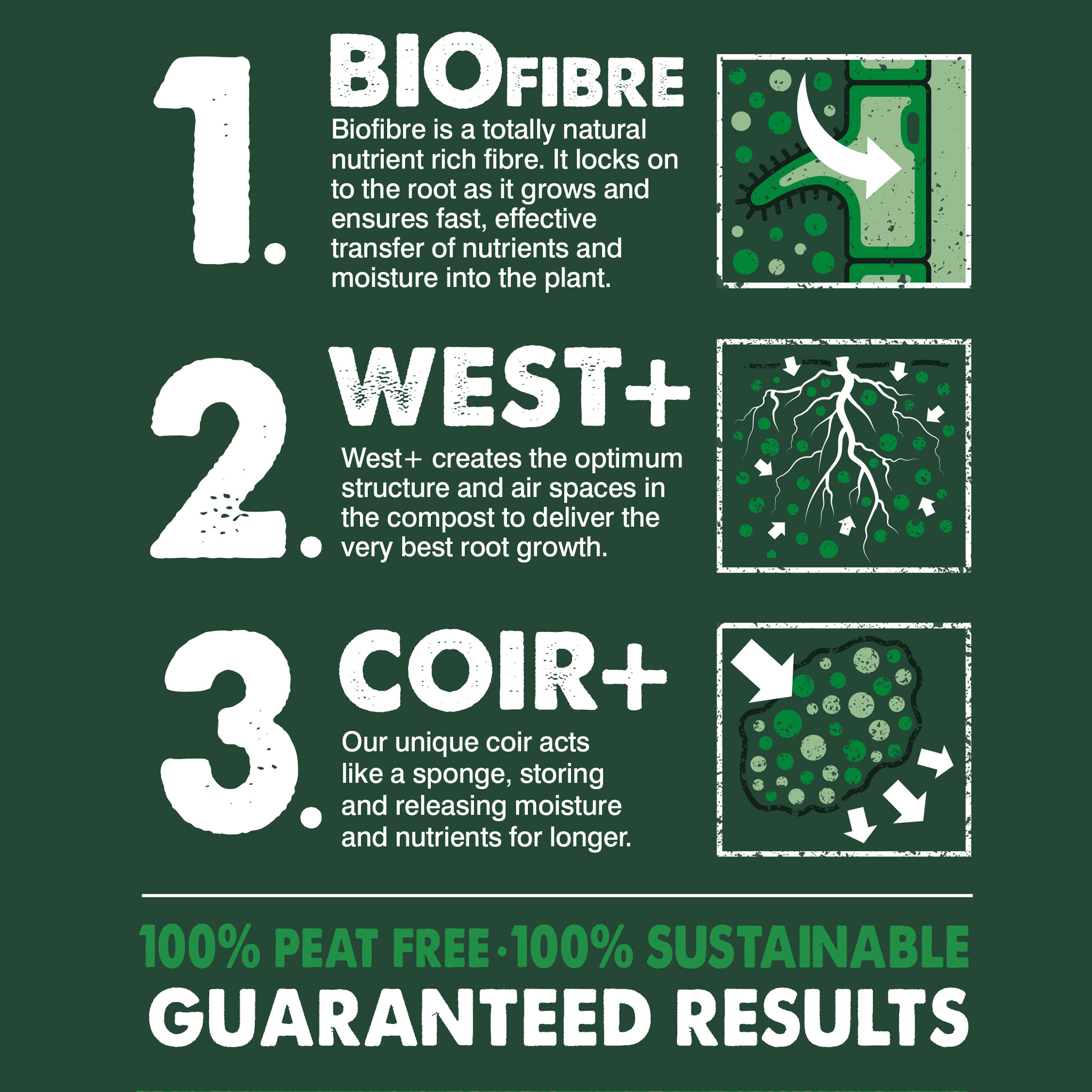 How to Grow Vegetables with New Horizon - Garden Health