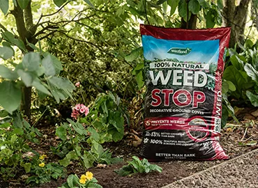 What is Westland Weed Stop? | Garden Health | Westland Horticulture
