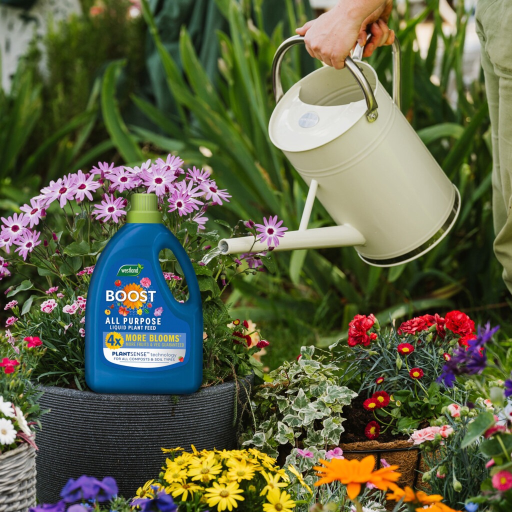 Westland Boost All Purpose Liquid Plant Feed - Westland Garden Health