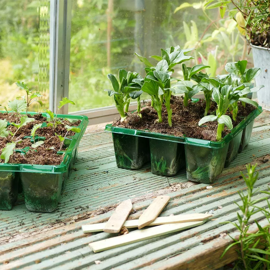 Eco-friendly Propagation with Visiroot - Garden Advice - Garden Health