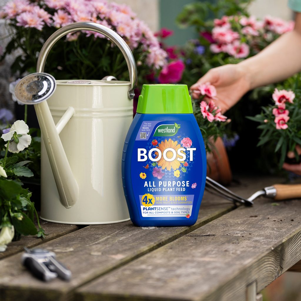 Westland Boost All Purpose Liquid Plant Feed - Westland Garden Health