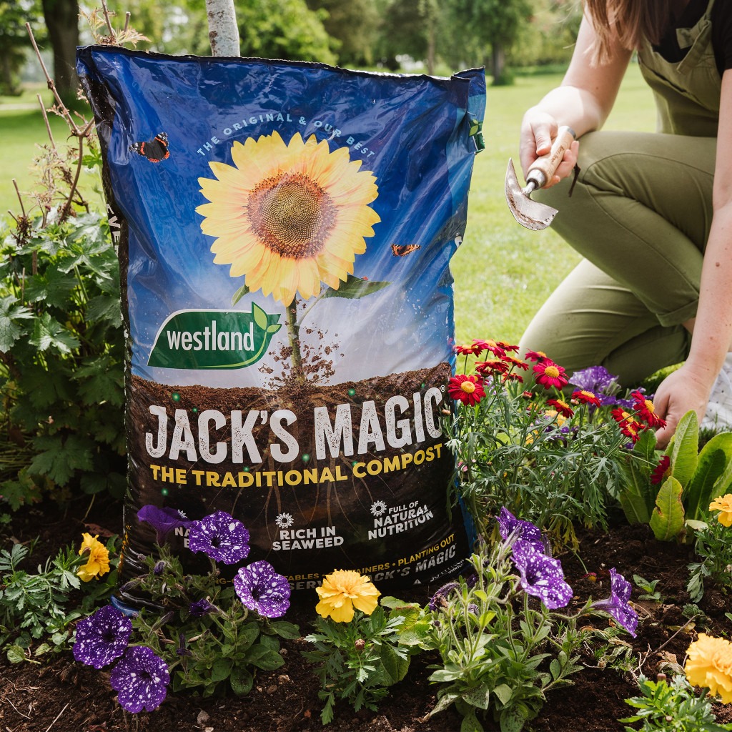 Jack's Magic All Purpose Compost - Westland Garden Health