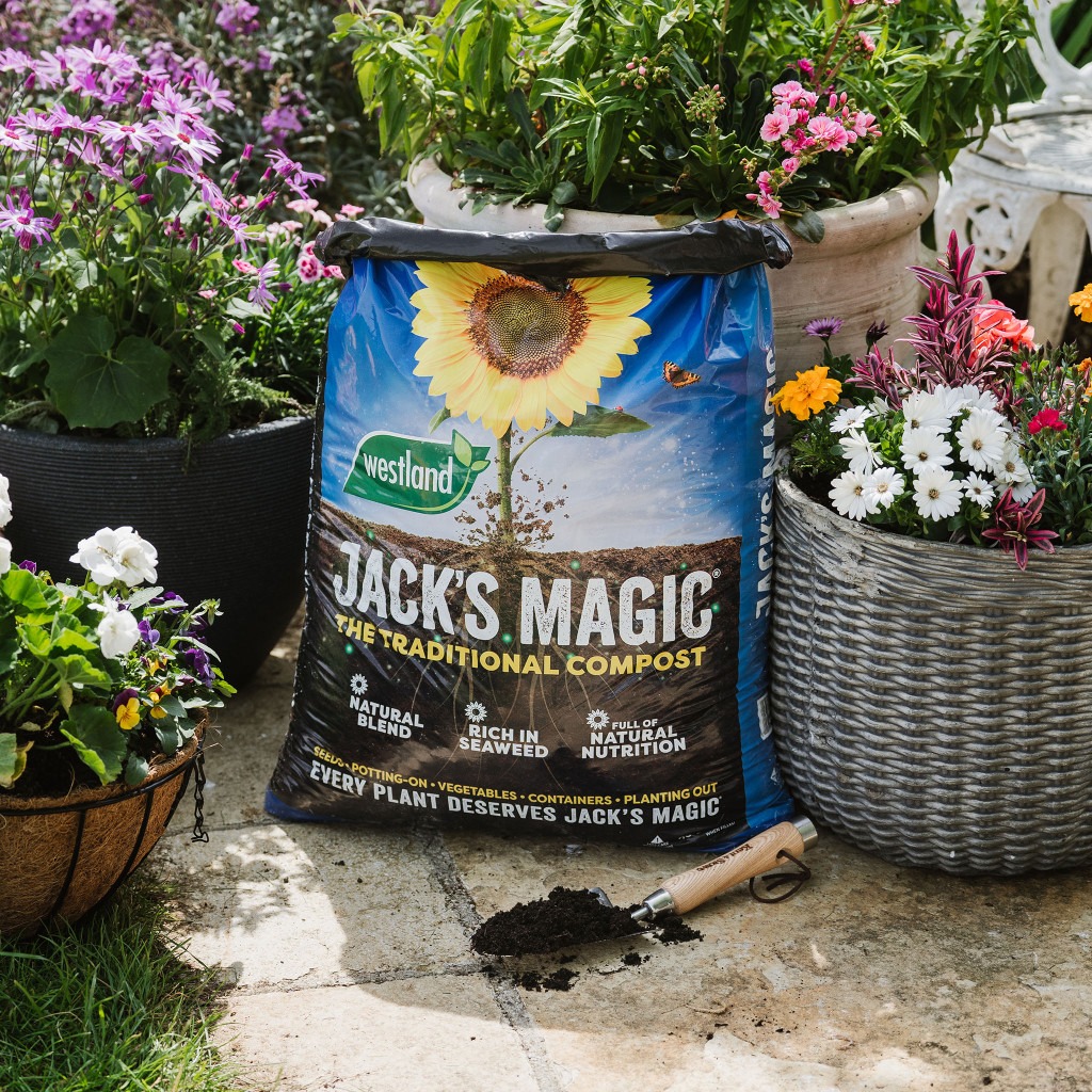 Jack's Magic All Purpose Compost - Westland Garden Health