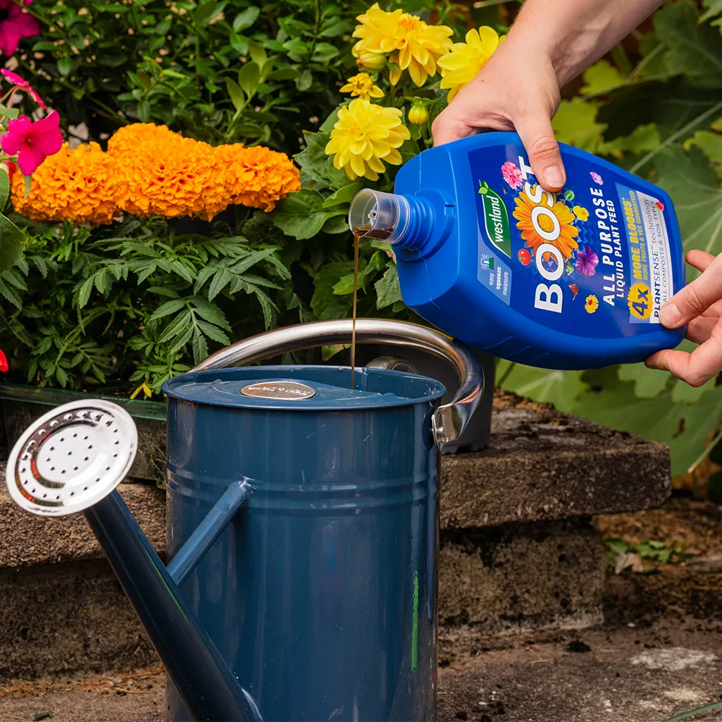 The Right Plant Food For Beautiful Summer Displays - Garden Health