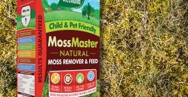 Westland MossMaster - Lawn Care - Westland Garden Health