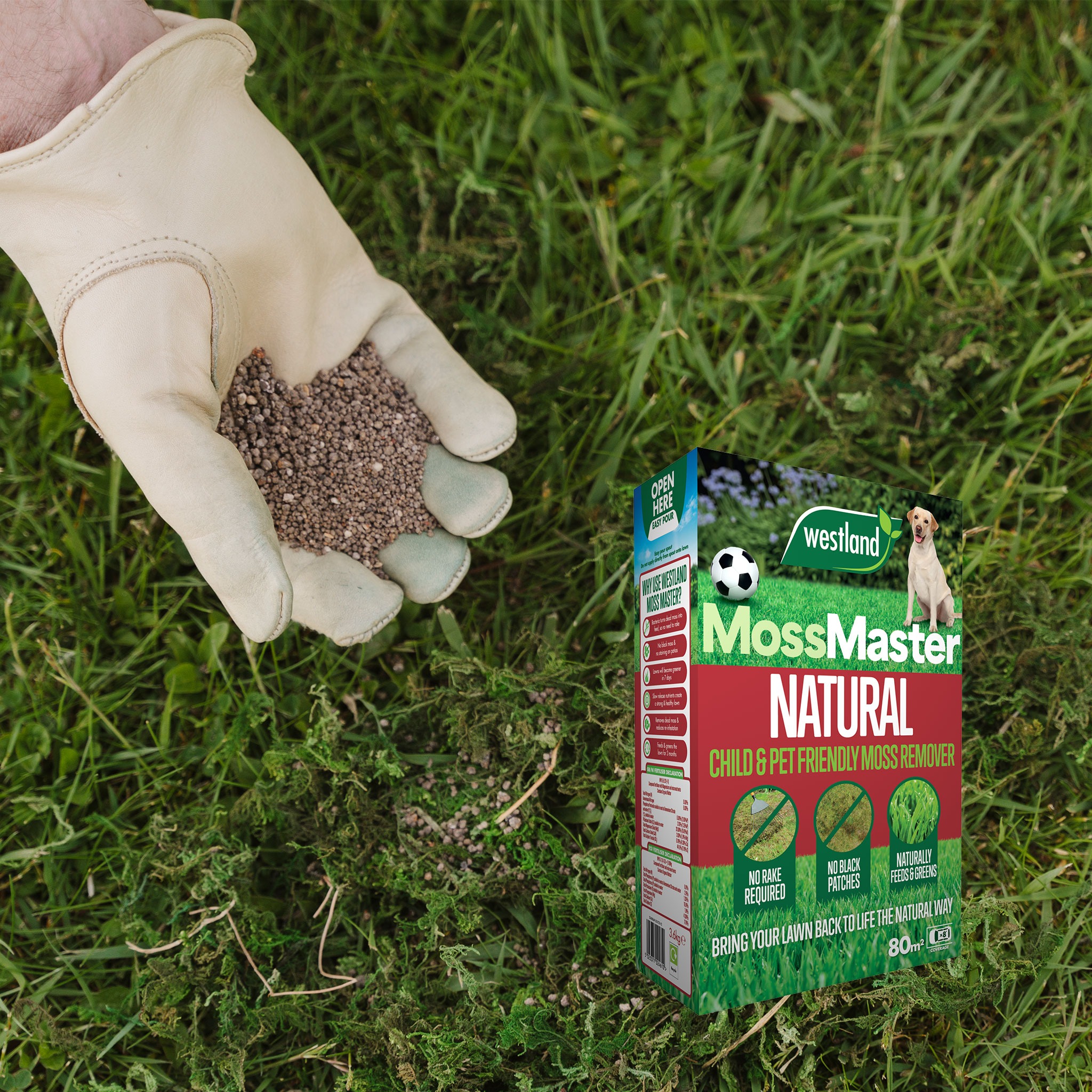 How to remove lawn moss with Moss Master - Lawn Hub - Garden Health