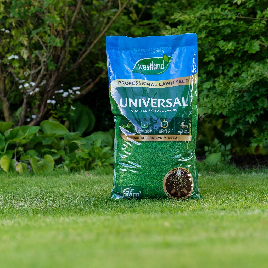 Westland Universal Professional Lawn Seed - Lawn Care - Garden Health