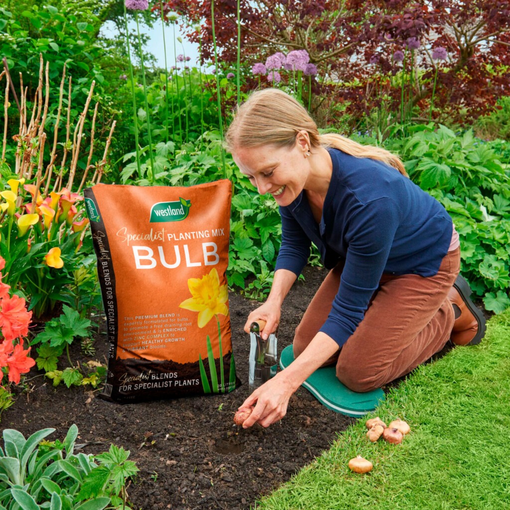 Westland Bulb Specialist Planting Mix - Westland Garden Health