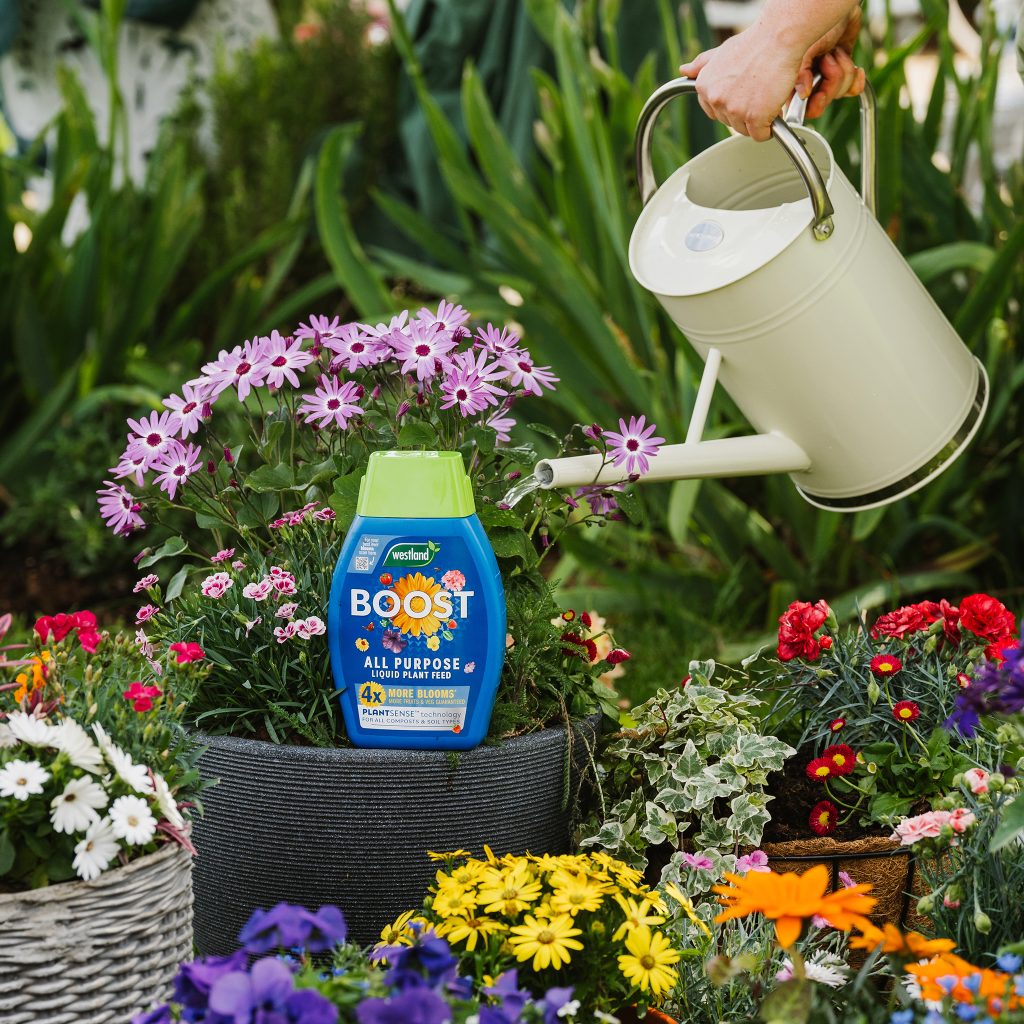 Using Peat Free Compost - Garden Advice Garden Health