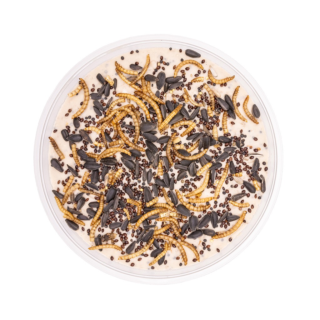 Gardman Seed & Mealworm Suet Cookie - Bird - Westland Garden Health