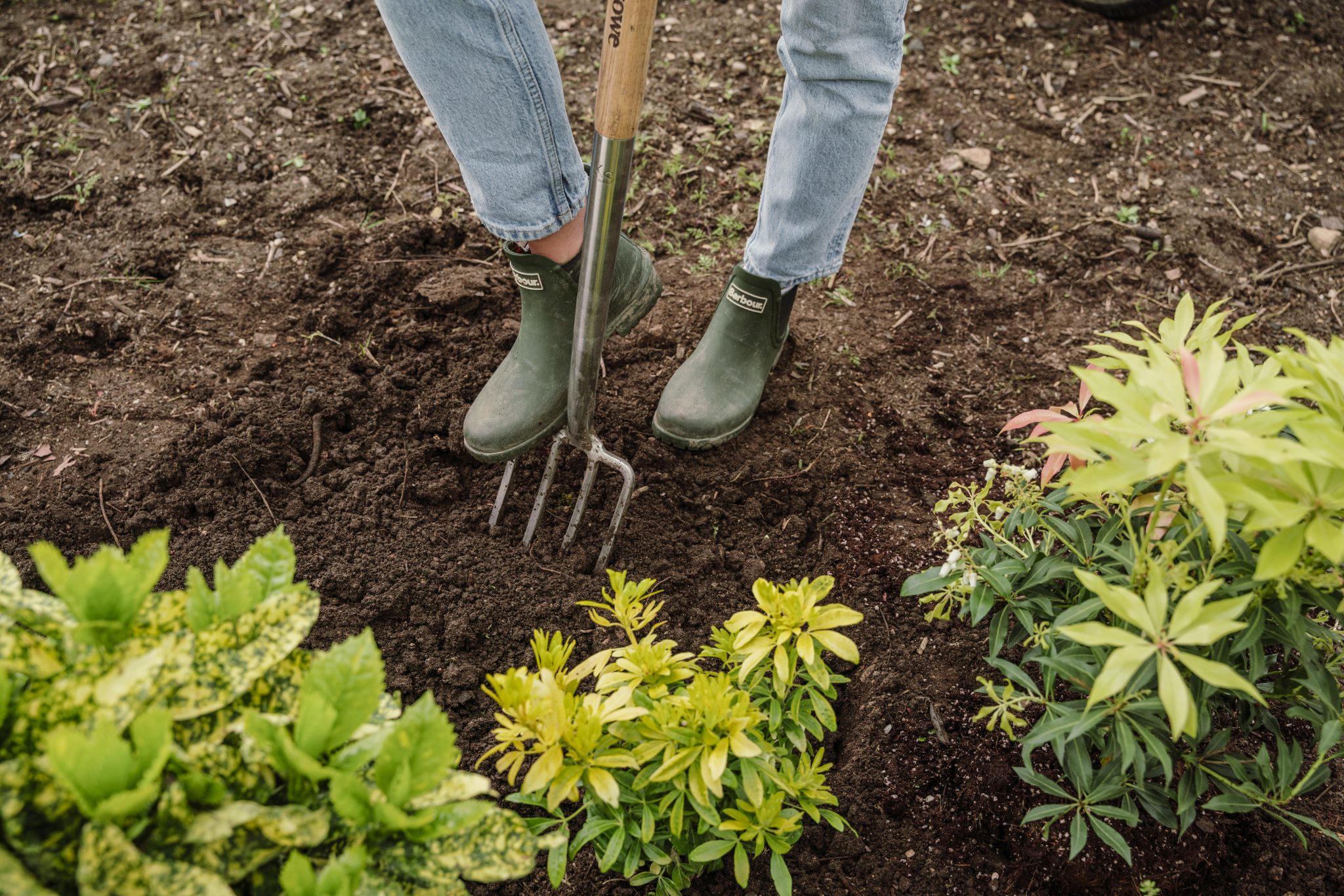 Allotment Guide - Garden Health