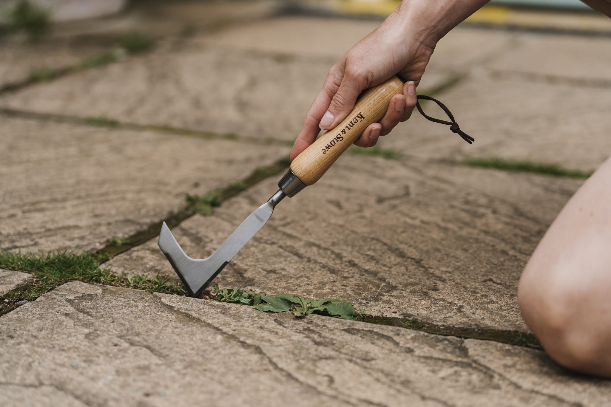 Allotment Guide - Garden Health