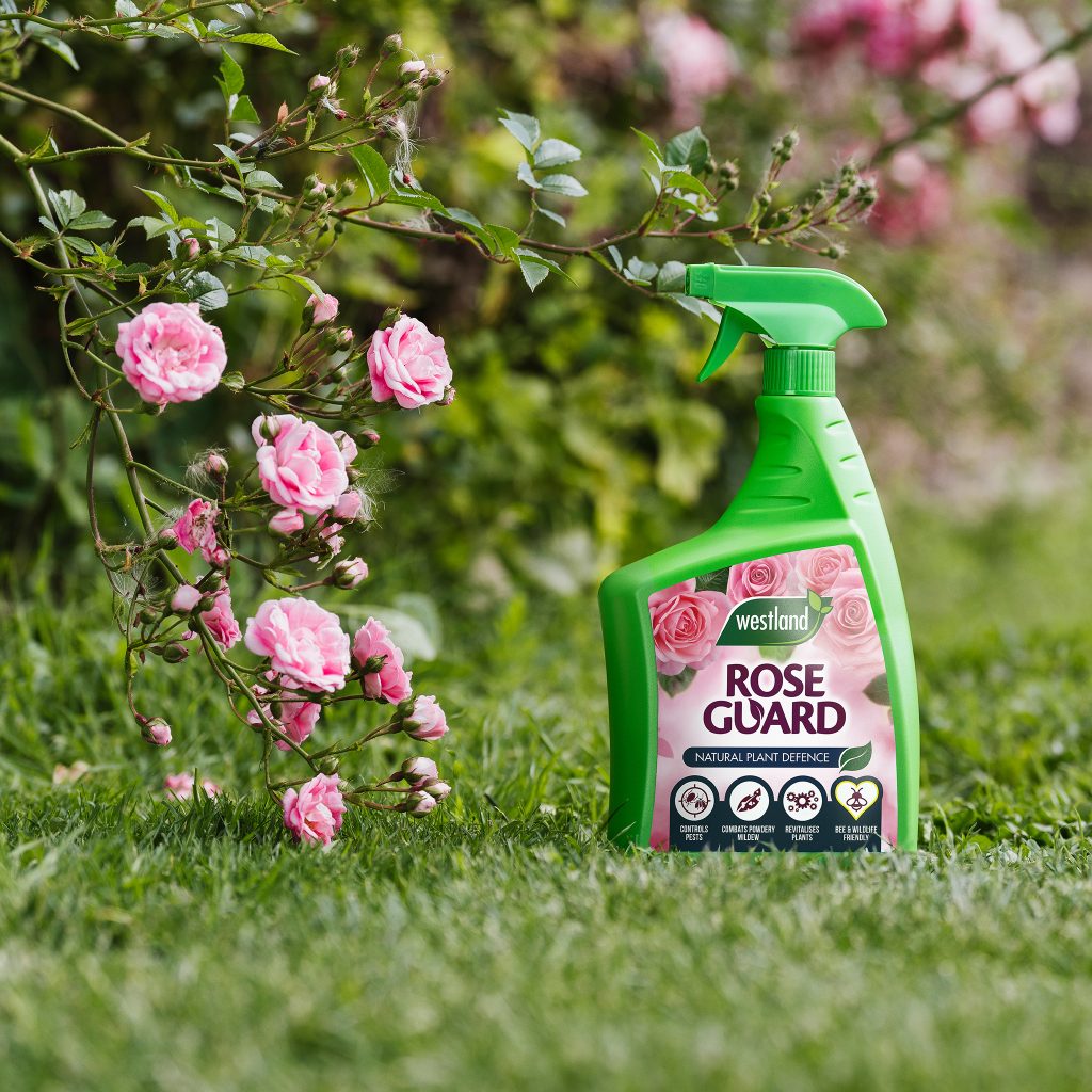 Westland Rose Guard - Pests & Diseases - Westland Garden Health