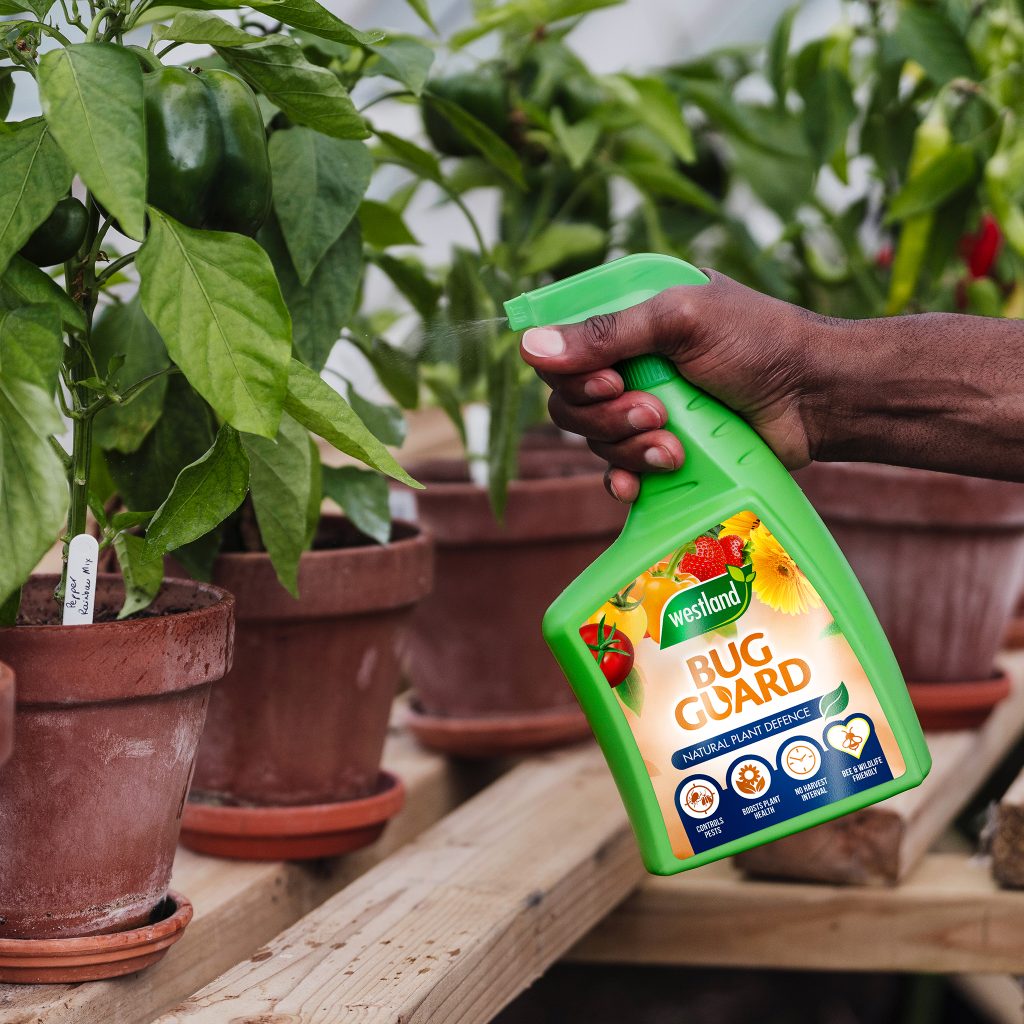 Westland Bug Guard - Pests & Diseases - Westland Garden Health