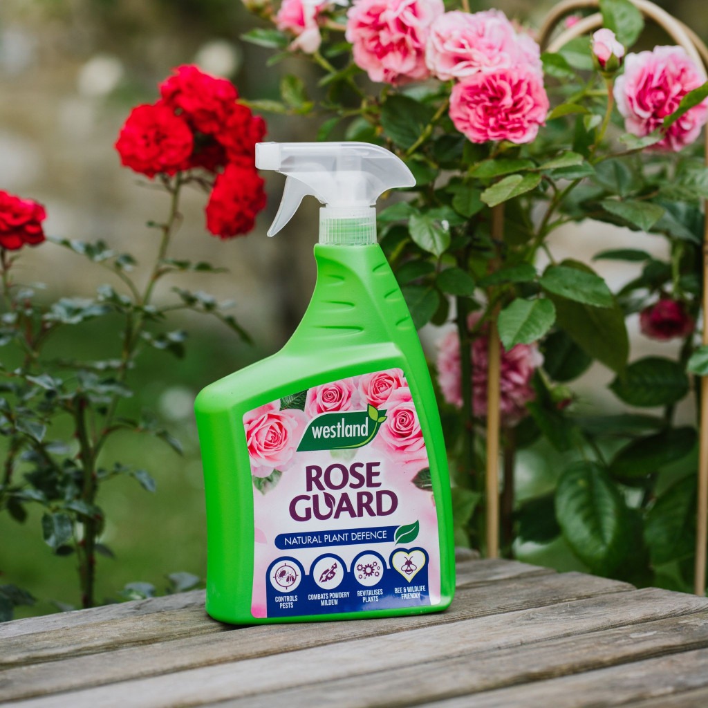 Westland Rose Guard - Pests & Diseases - Westland Garden Health