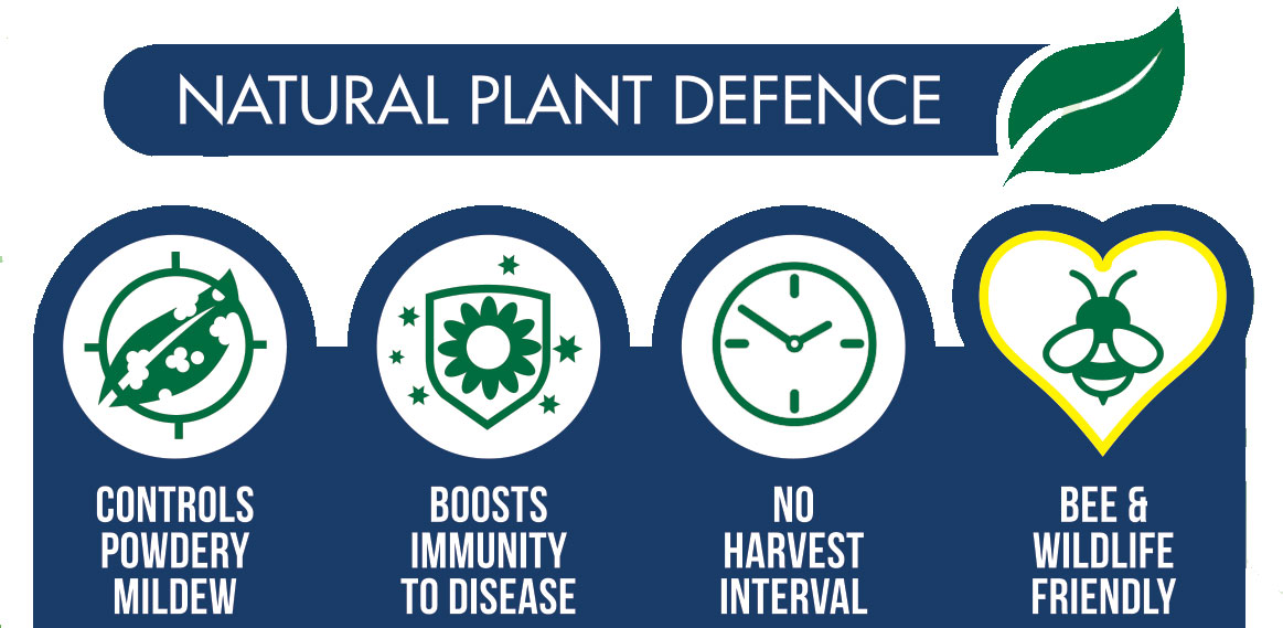 Westland Fungus Guard - Pests & Diseases - Westland Garden Health