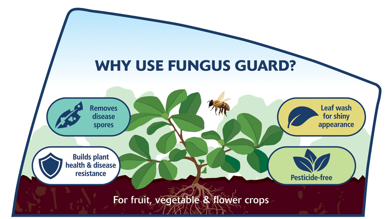 Westland Fungus Guard - Pests & Diseases - Westland Garden Health