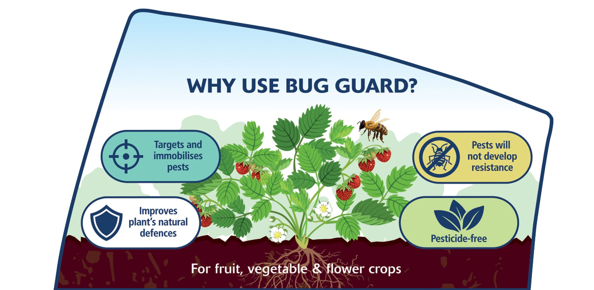 Westland Bug Guard - Pests & Diseases - Westland Garden Health