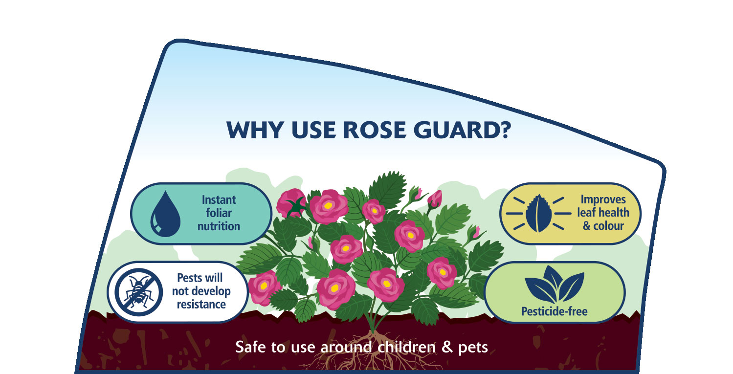 Westland Rose Guard - Pests & Diseases - Westland Garden Health