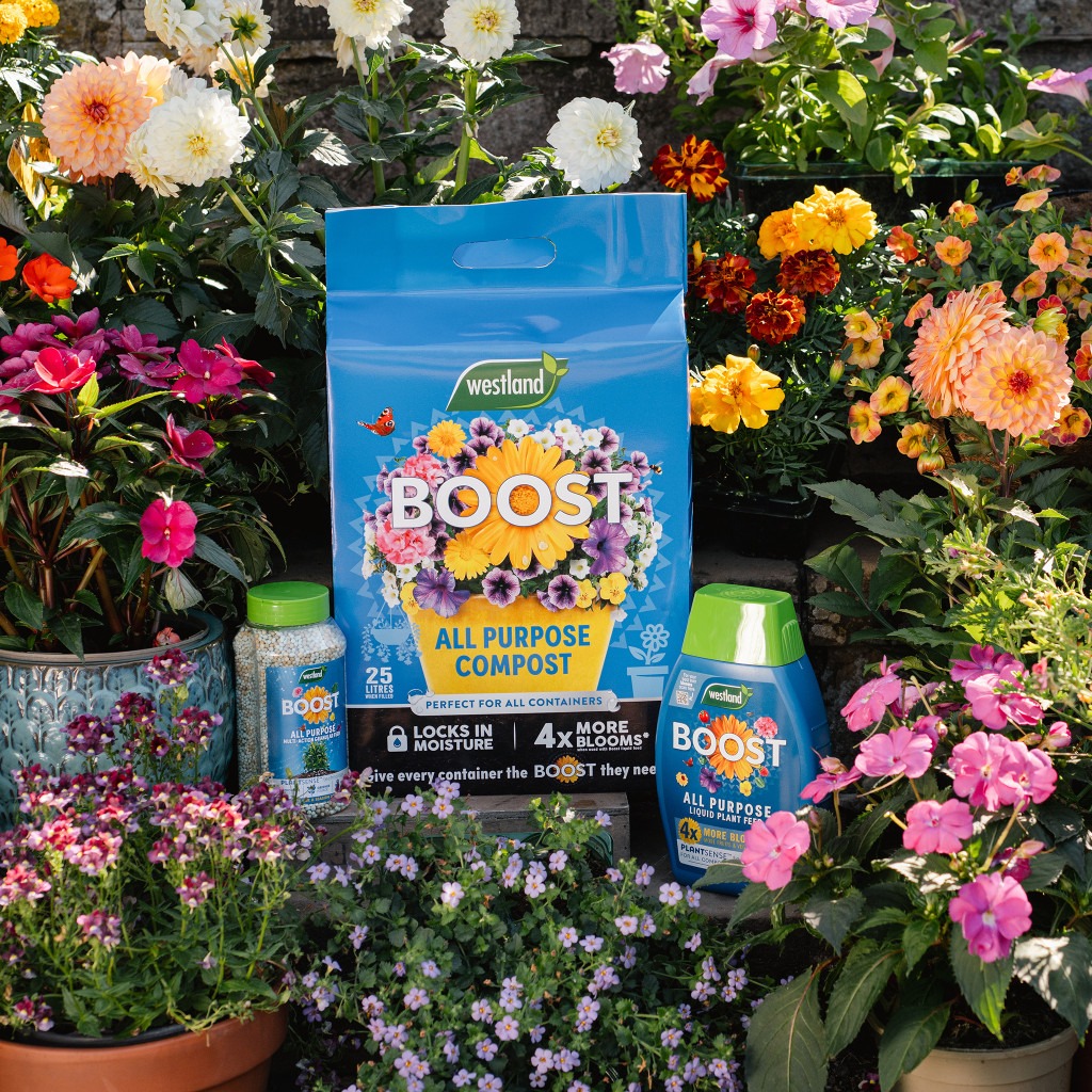 Westland Boost All Purpose Compost - Composts - Westland Garden Health