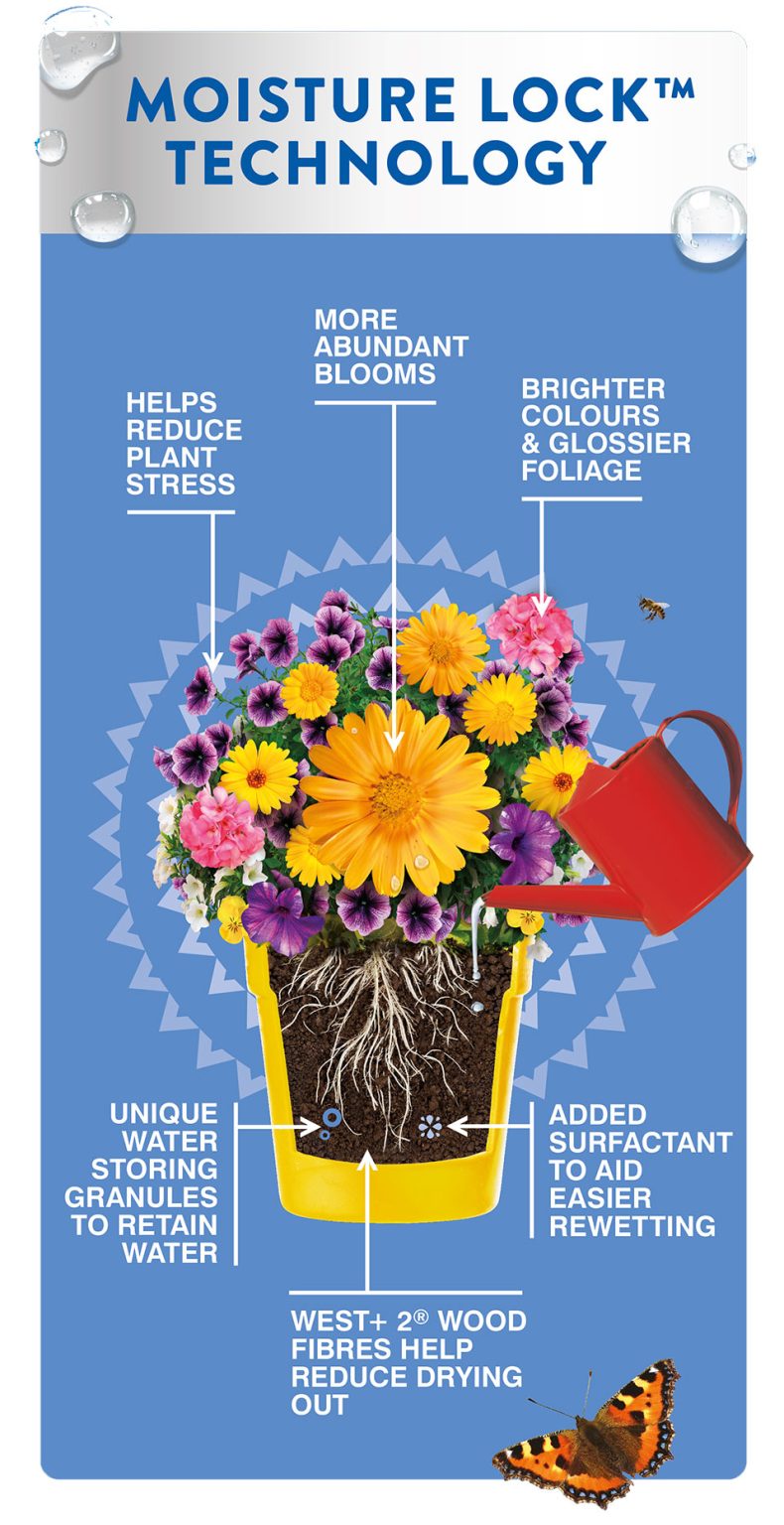 Westland Boost All Purpose Compost - Composts - Westland Garden Health