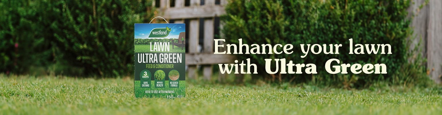 Westland Ultra Green Sample Pack - Garden Health