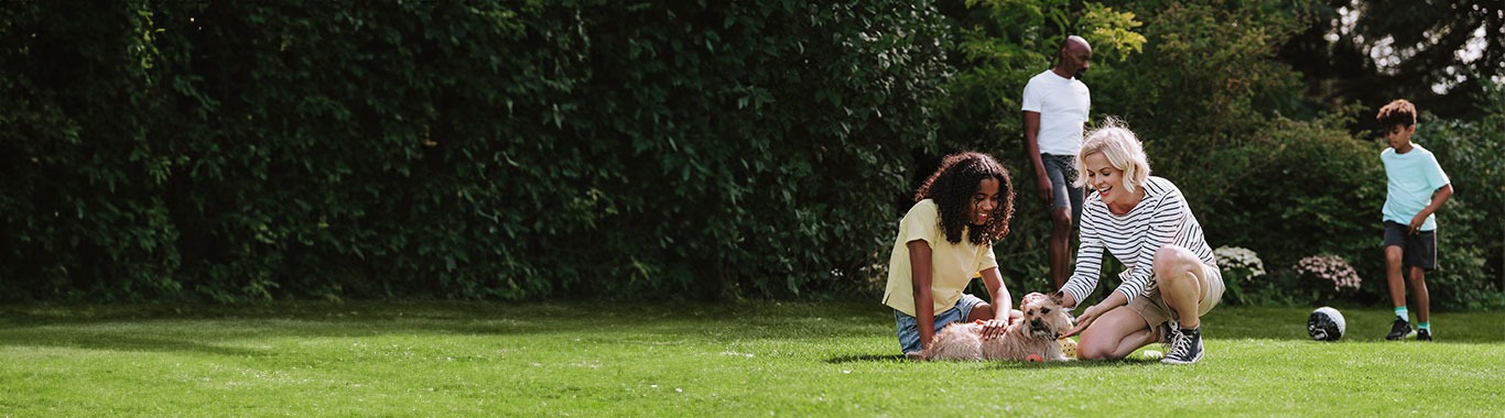 Lawn Care Hub - All your lawn care advice - Westland Garden Health