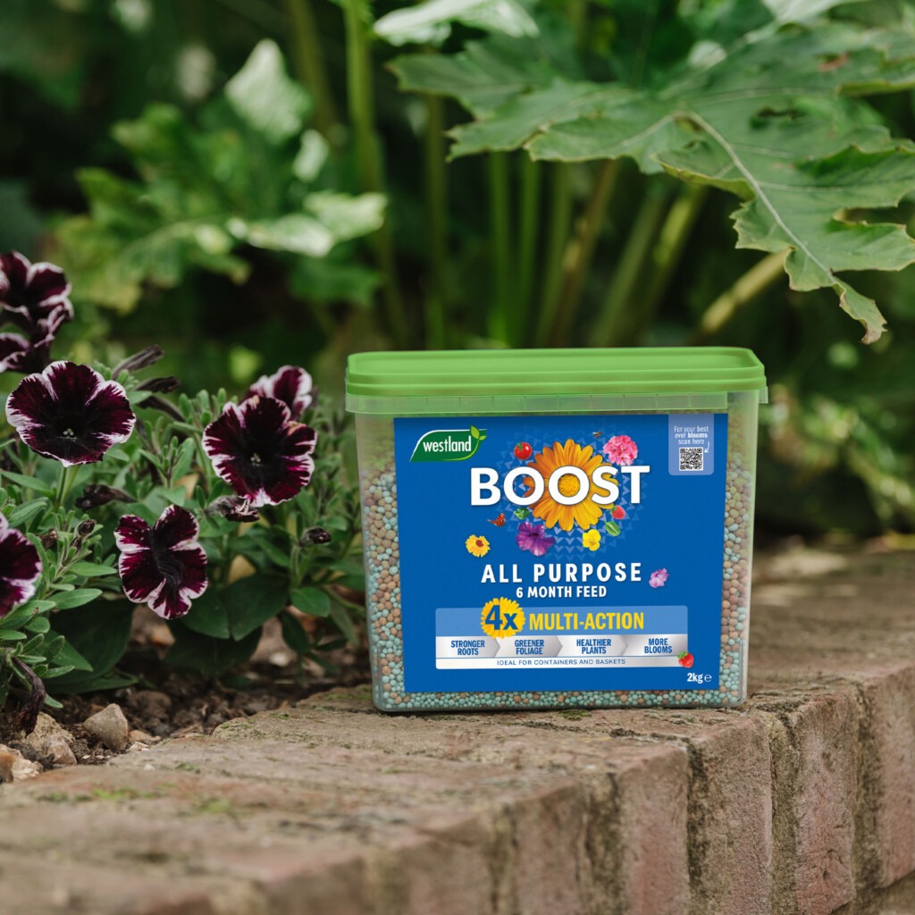 Westland Boost All Purpose Multi-Action Granules - Plant Food - Garden ...
