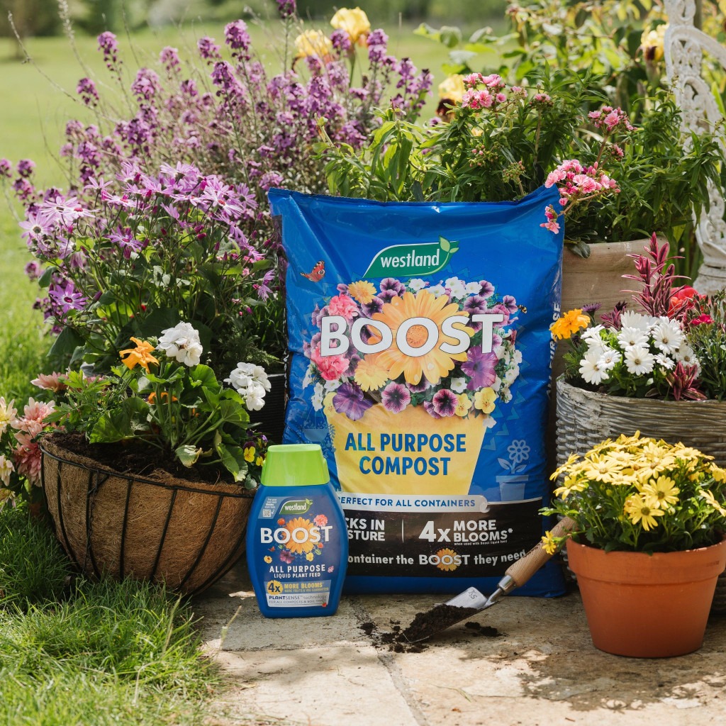 Westland Boost All Purpose Compost - Composts - Westland Garden Health