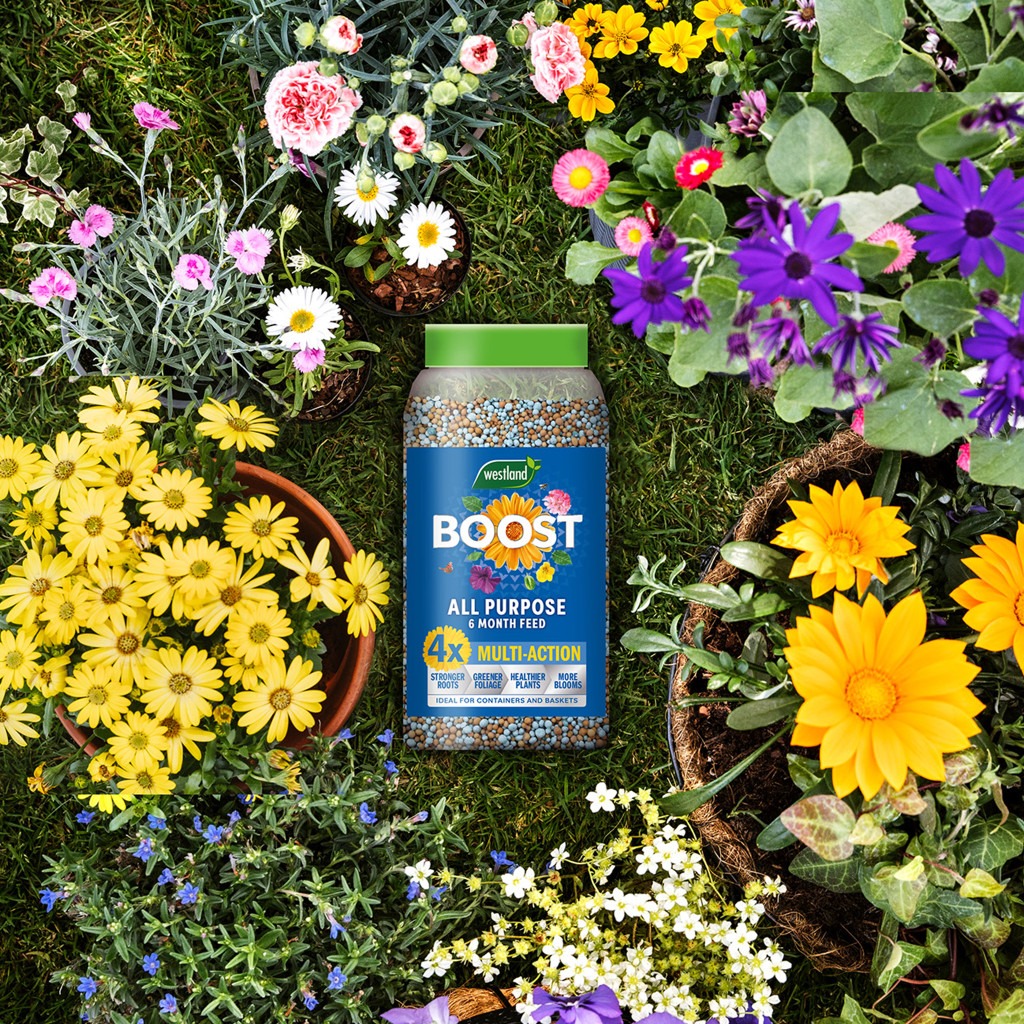 Westland Boost All Purpose Multi-Action Granules - Plant Food - Garden Health