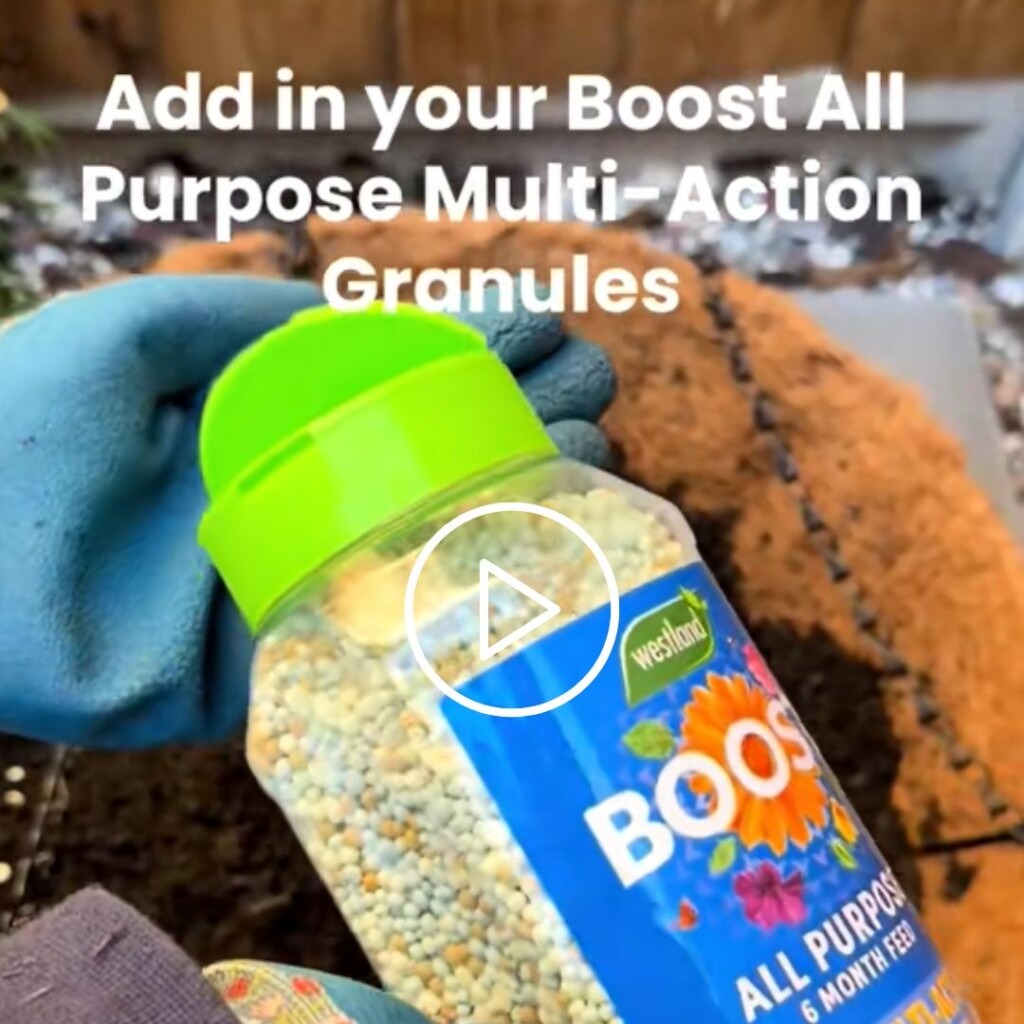 Westland Boost All Purpose Multi-Action Granules - Plant Food - Garden ...